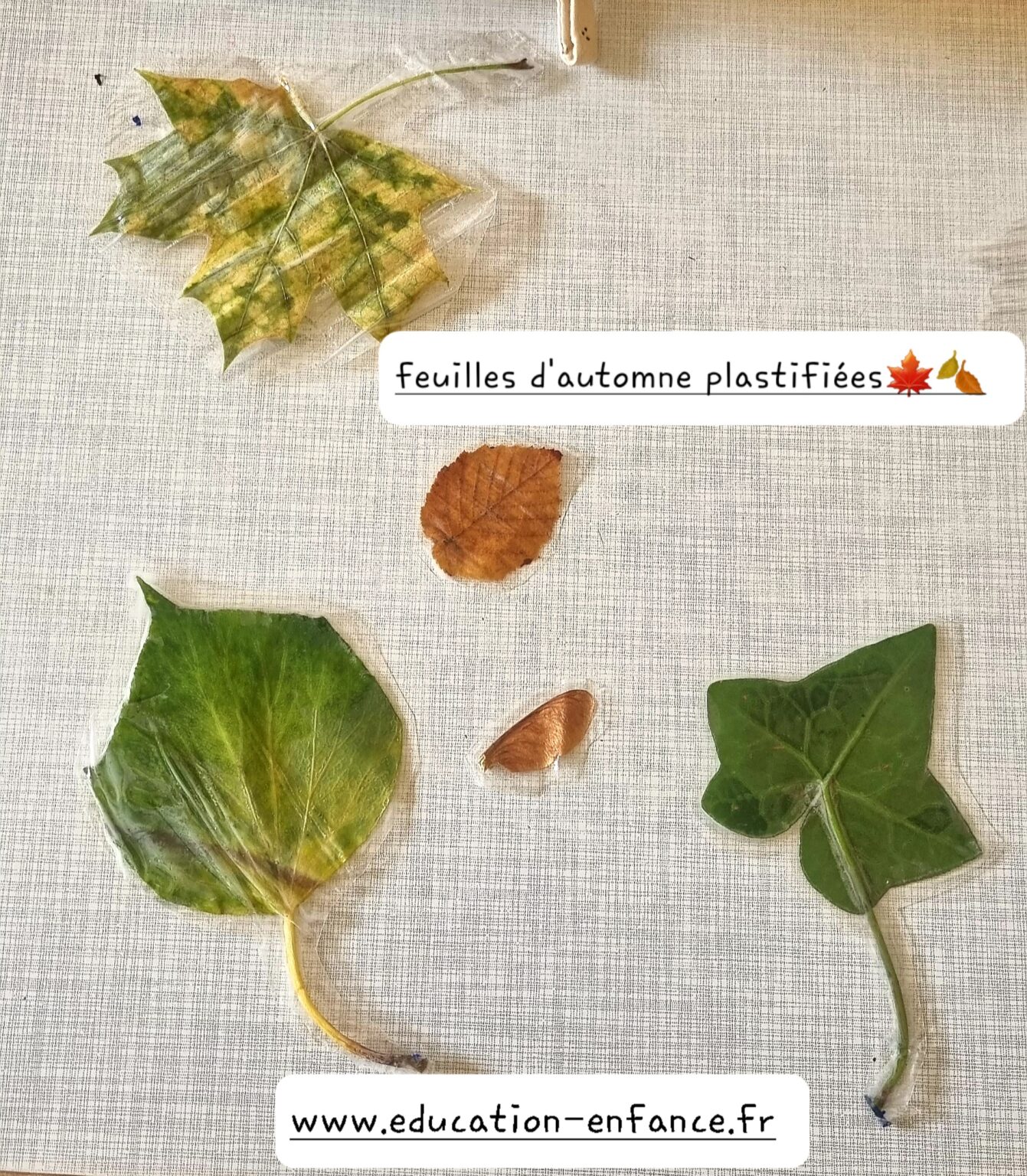 Activité découpage de feuilles d’automne pour les enfants (Dès 2 ans et ...